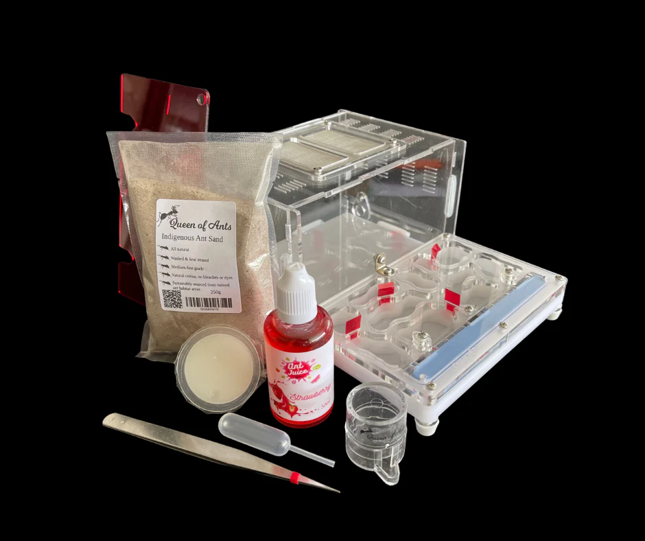 Ant Farm Starter Kit Medium- Horizontal 'Royale Lobby' Nest - Bug Frenzy