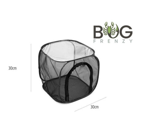 Pop-up Mesh Enclosure 30cmx30cm - Bug Frenzy