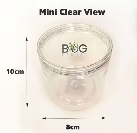 Mini Clear View Enclosure - Bug Frenzy