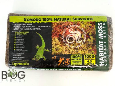 Bug Frenzy | Scorpions | Spiders | Invertebrates | Bug Shop