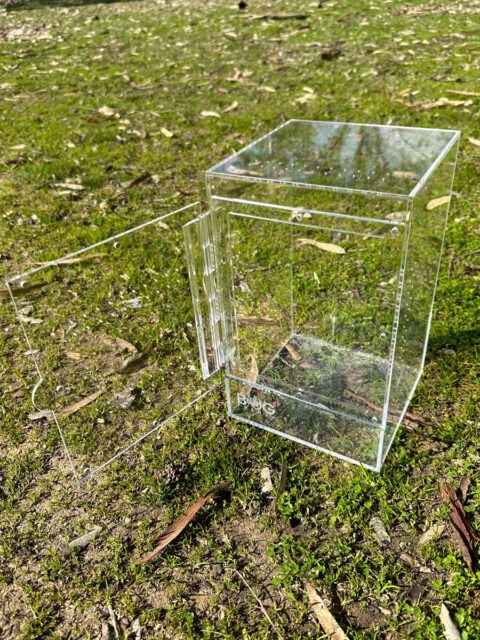 The BIG Bug Box with Basic Mantis Kit - Bug Frenzy